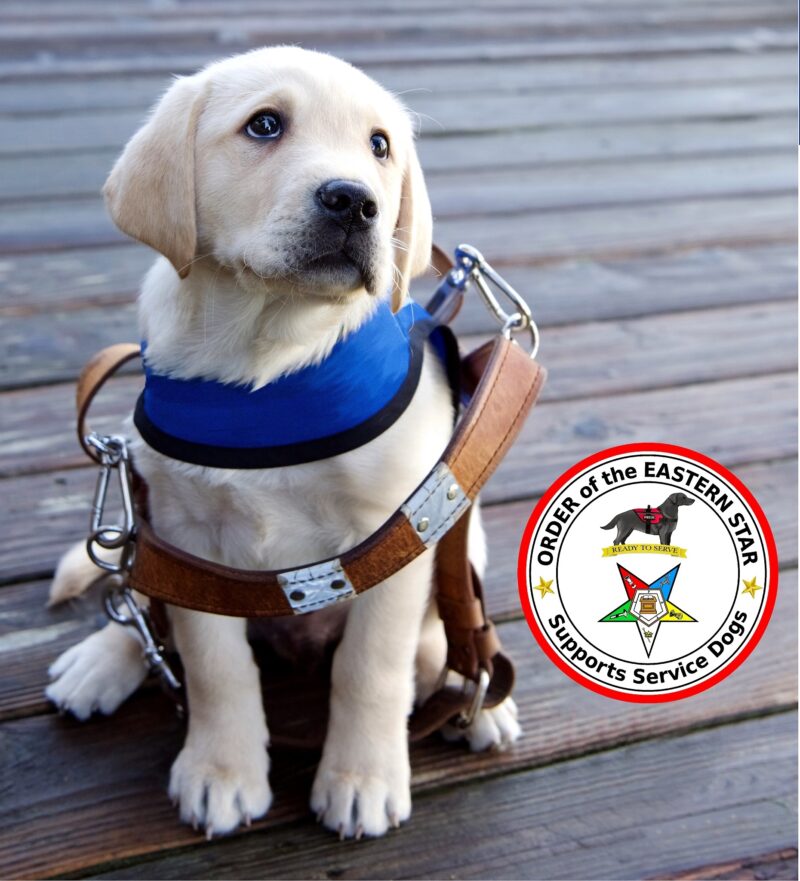 Order of the Eastern Star Manitoba – Manitoba Chapters